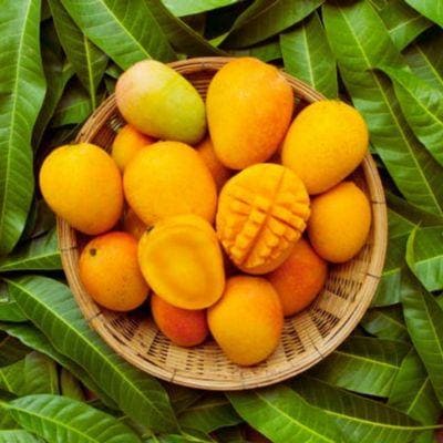 Mango - BhejDe.pk